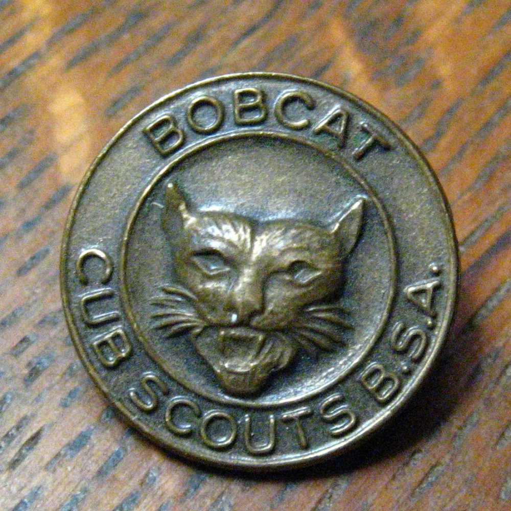 Bsa Bobcat Cub Scouts Vintage Lapel Pin - Gem
